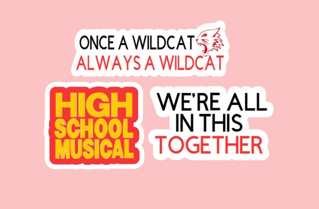 High School Musical Stickers/disney/disney Channel/waterproof - Etsy