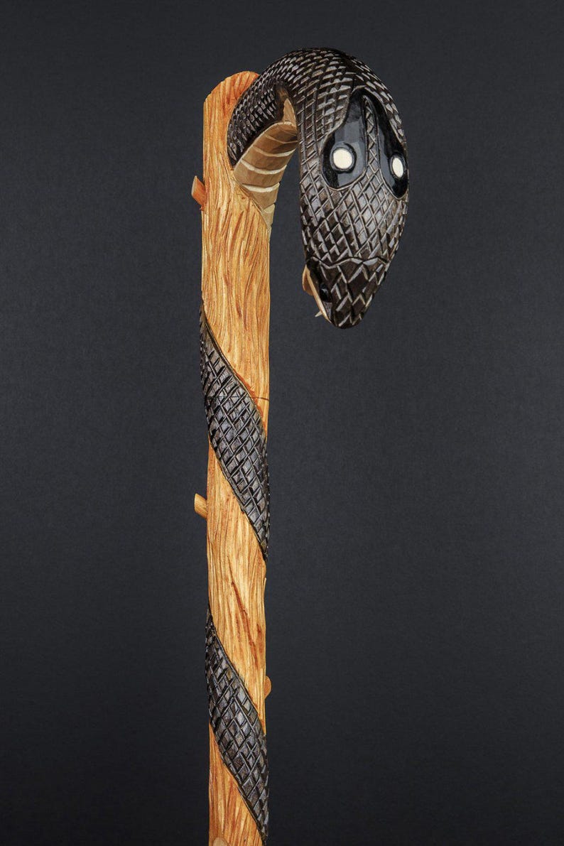 Snake Walking Cane | Unique Wooden Stick for Men and Women Carved ...