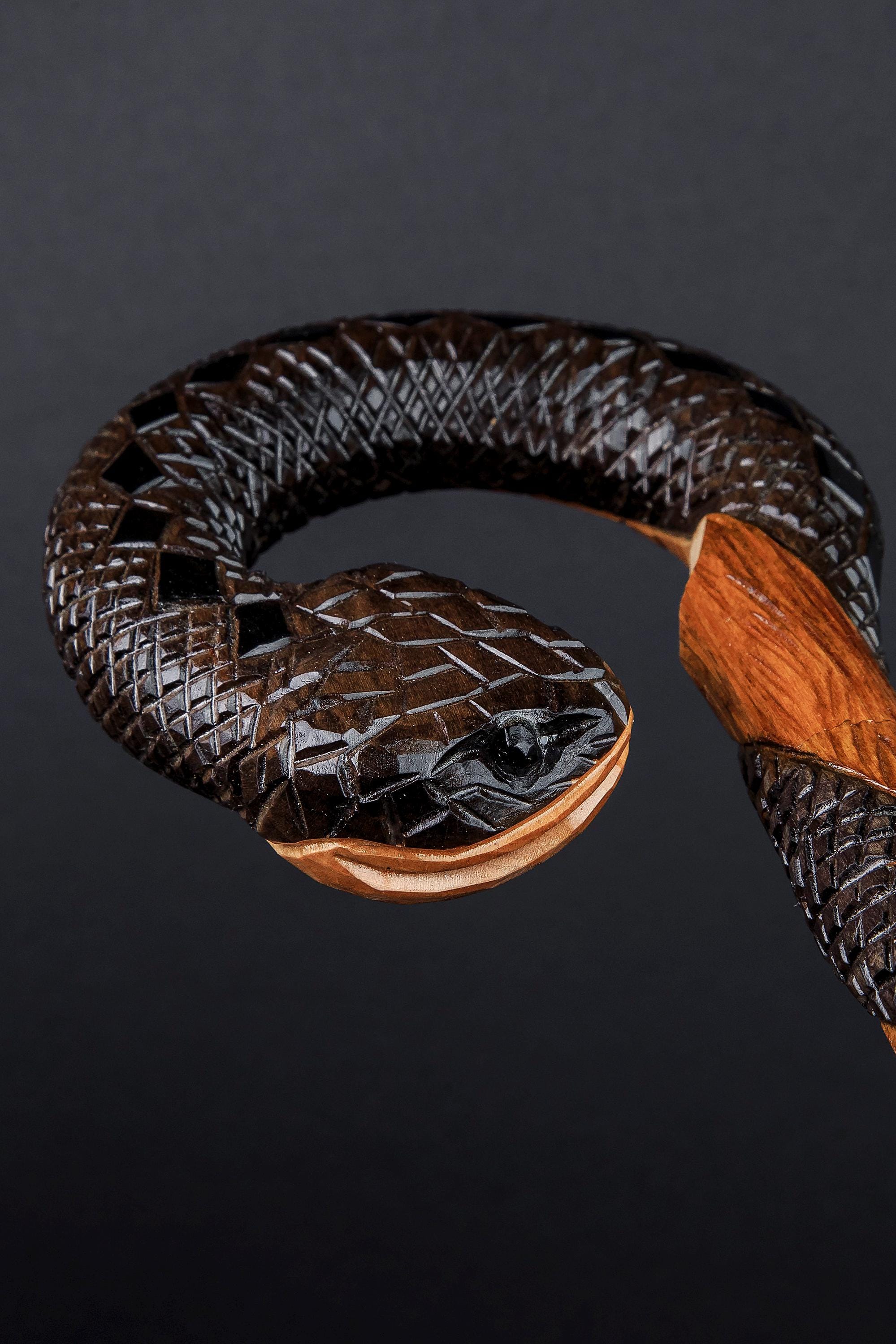 Snake Elegant Carved Walking Cane, Lightweight Wooden Cane for All for ...