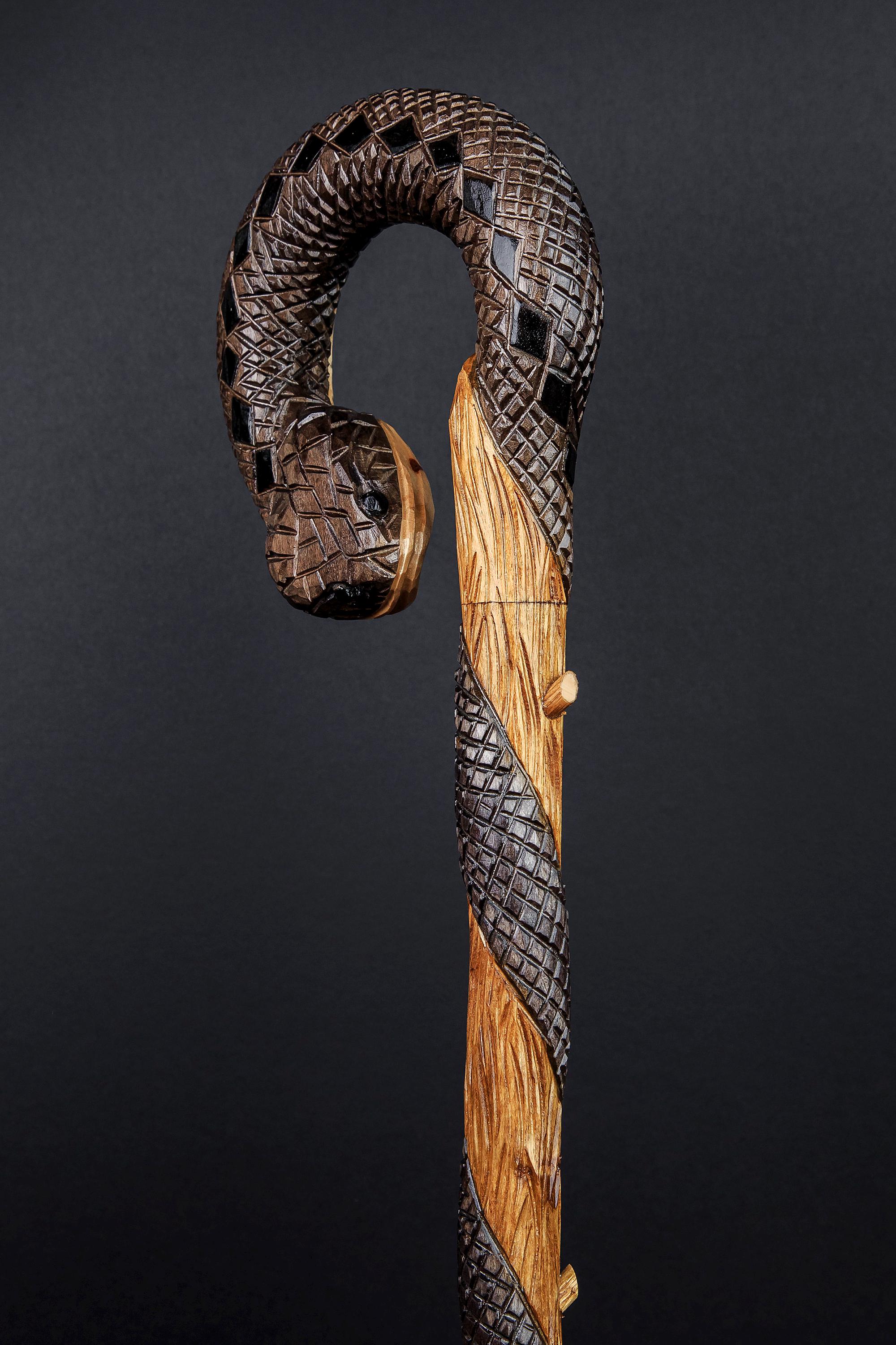 Snake Elegant Carved Walking Cane, Lightweight Wooden Cane for All for ...