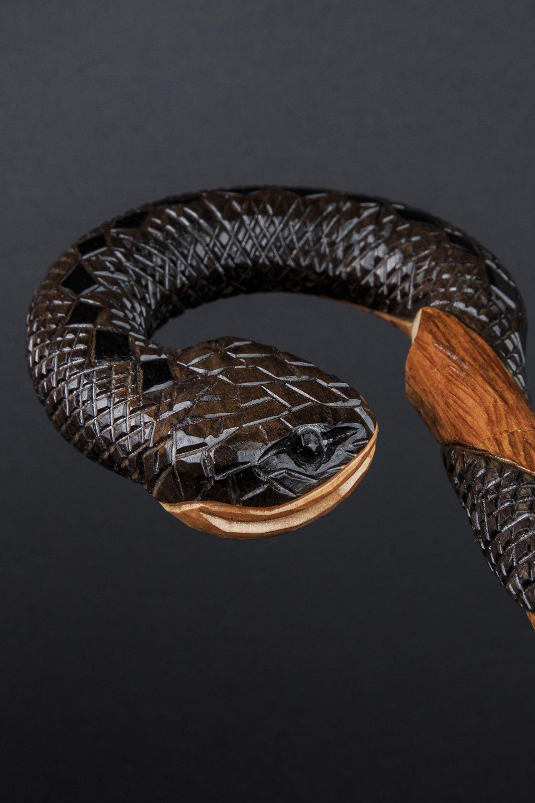 Snake Elegant Carved Walking Cane, Lightweight Wooden Cane for All for ...