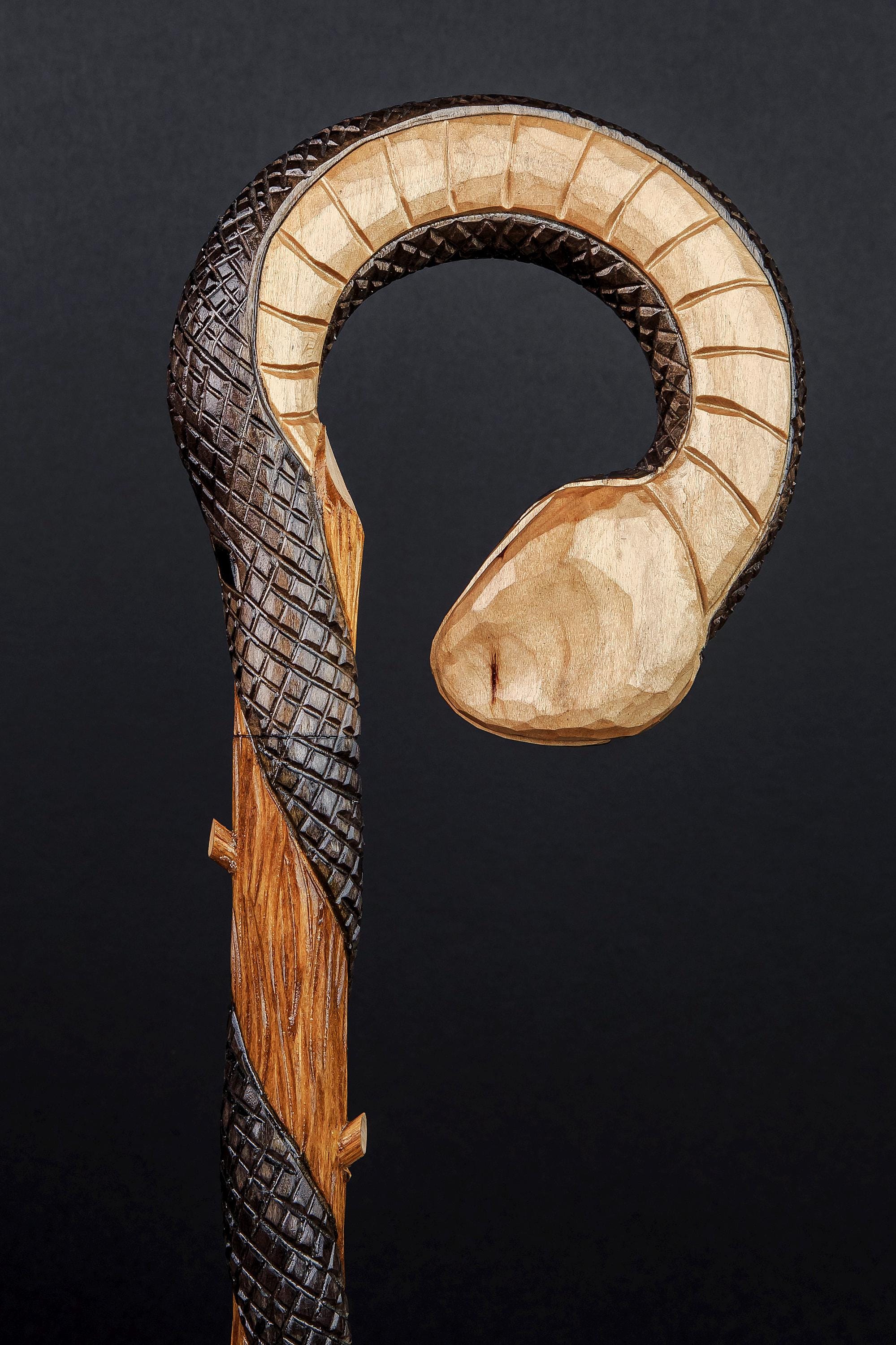 Snake Elegant Carved Walking Cane, Lightweight Wooden Cane for All for ...