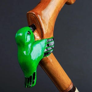 Hummingbird Walking Cane | Hand Carved Wooden Staff | Nature Inspired ...