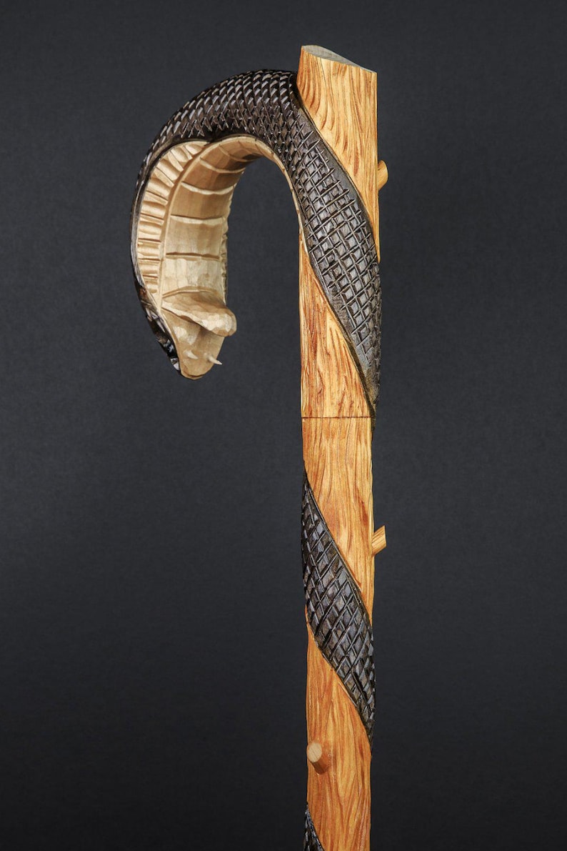 Snake Walking Cane | Unique Wooden Stick for Men and Women Carved ...