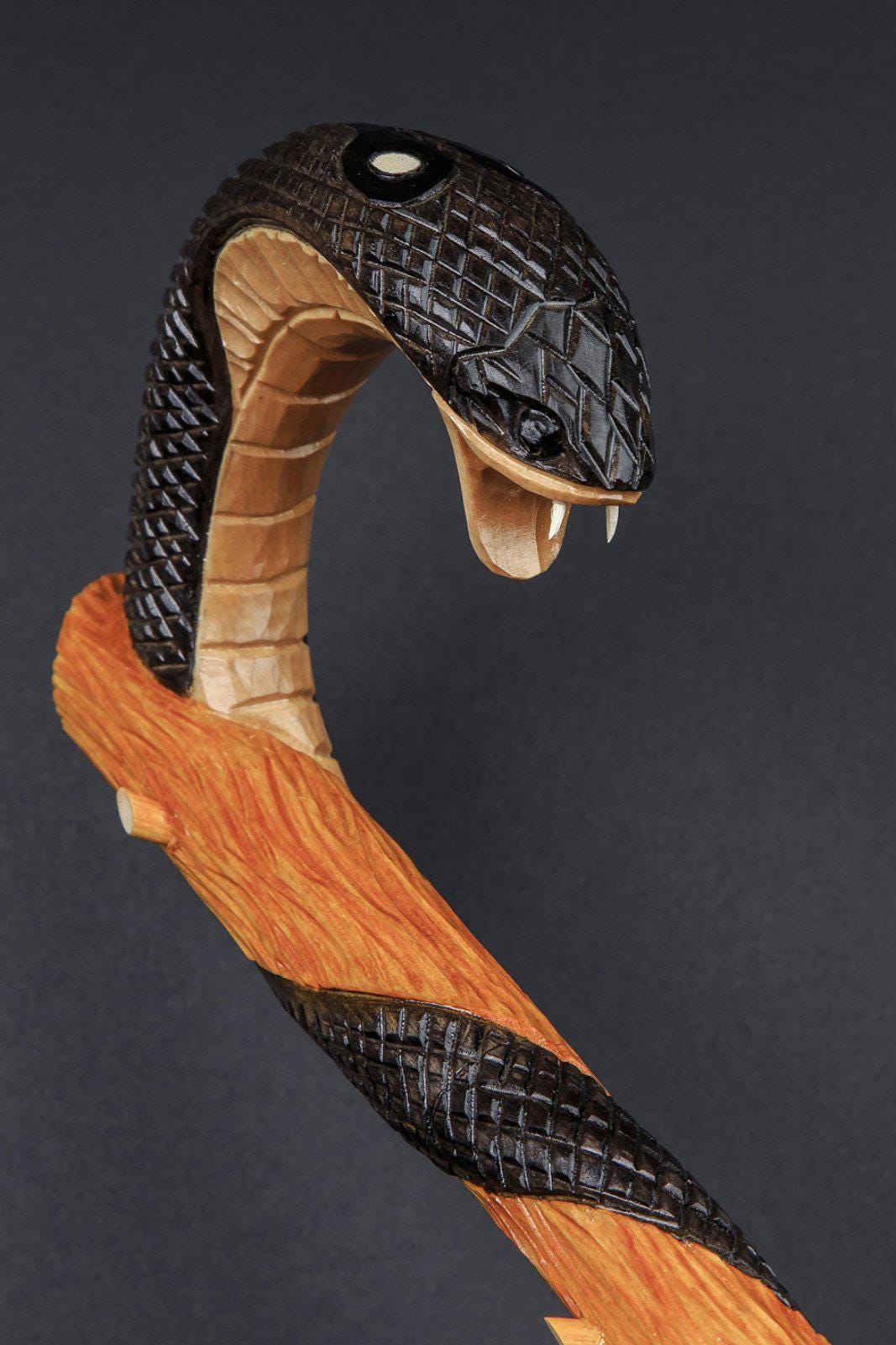 Snake Walking Cane | Unique Wooden Stick for Men and Women Carved ...