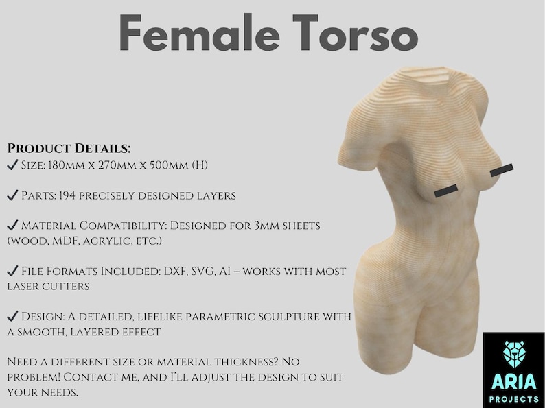 Female Torso – Sliced Vector Template, Parametric, Multilayer (DXF, SVG ...