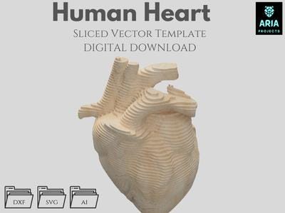 Human Heart - Sliced Vector Template, Parametric, Multilayer Laser Cut ...