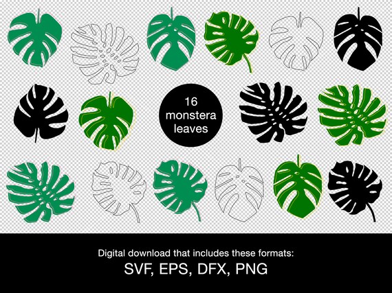 Monstera leaf svg png eps dxf bundle | Etsy