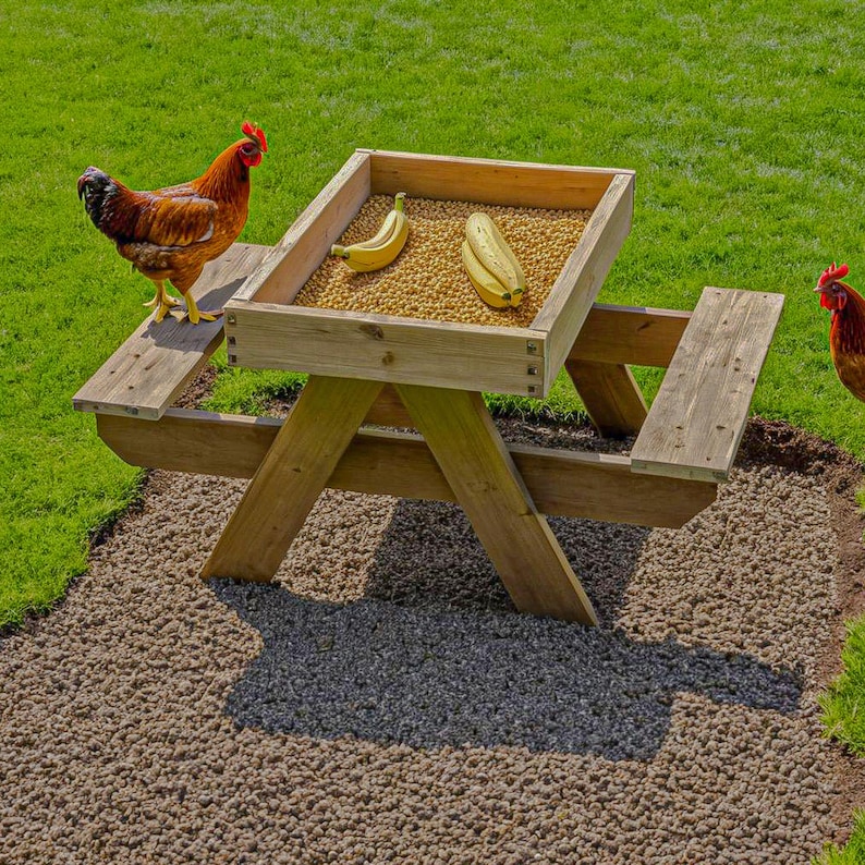 DIY Chicken Picnic Table Plans: Build Two Sizes (digital Download) - Etsy