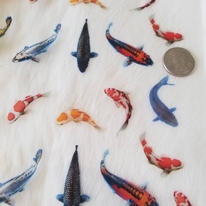 3D Fish (30MM) Clear Transparent Film,goldfish and Fishman, Film 4 UV ...