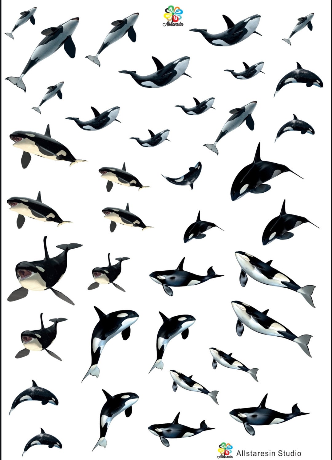 3D Orca Resin Sheets, Killer Whales Sticker, Oceanic Dolphins Resin ...