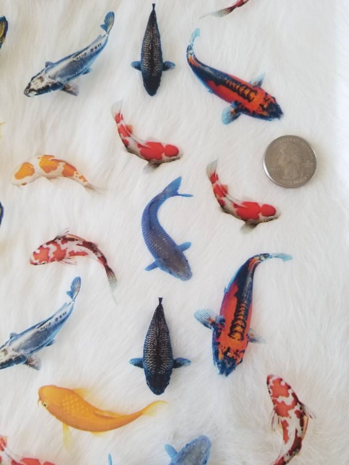 3D Fish Sheets 50MM Goldfish and Fishman Sheets Resin - Etsy