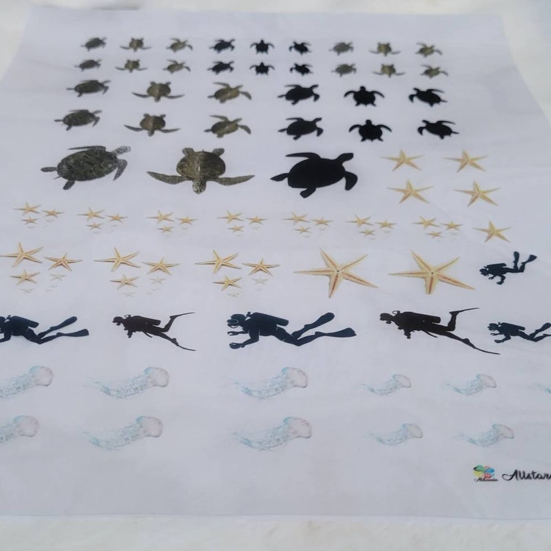 Cute Turtle Sheets - Etsy