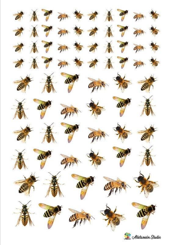 3D Bee 30-40-50MM Mix Clear Transparent Film Art for UV | Etsy