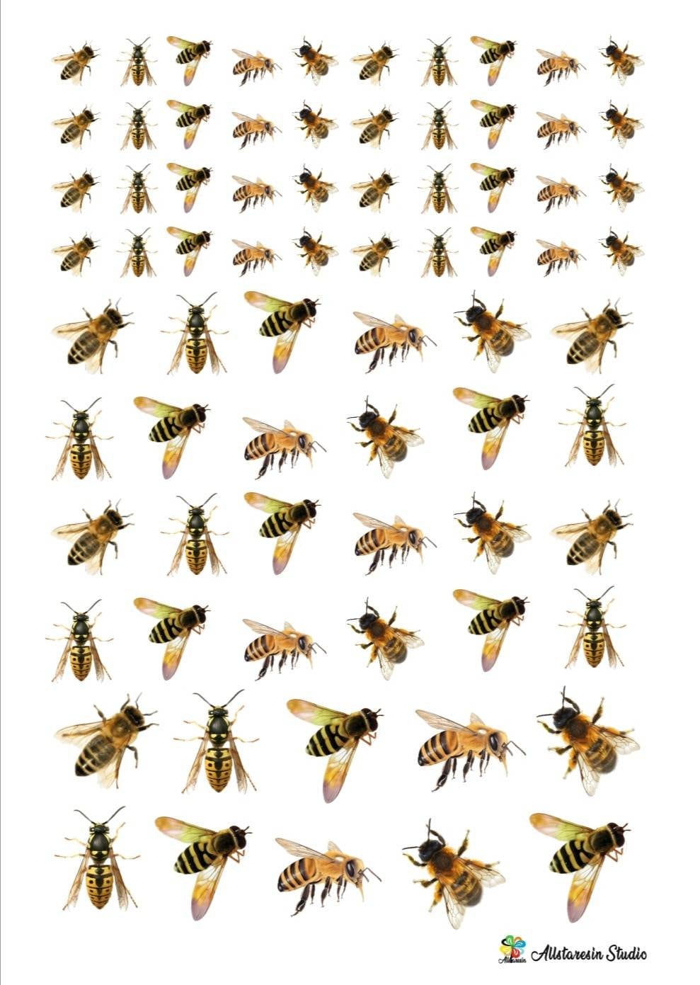 3D Bee( 30-40-50MM Mix) Clear Transparent Film, Art, for UV Resin Art ...