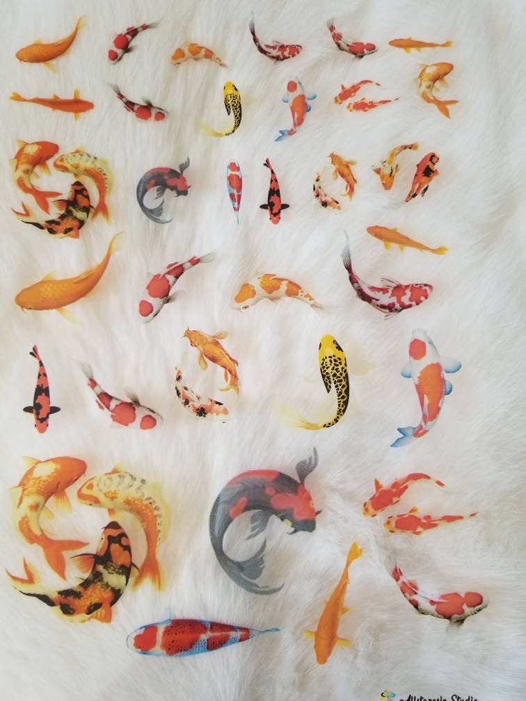 3D Goldfish Resin Art – Transparent Film/sticker Sheet (36pcs) - Etsy