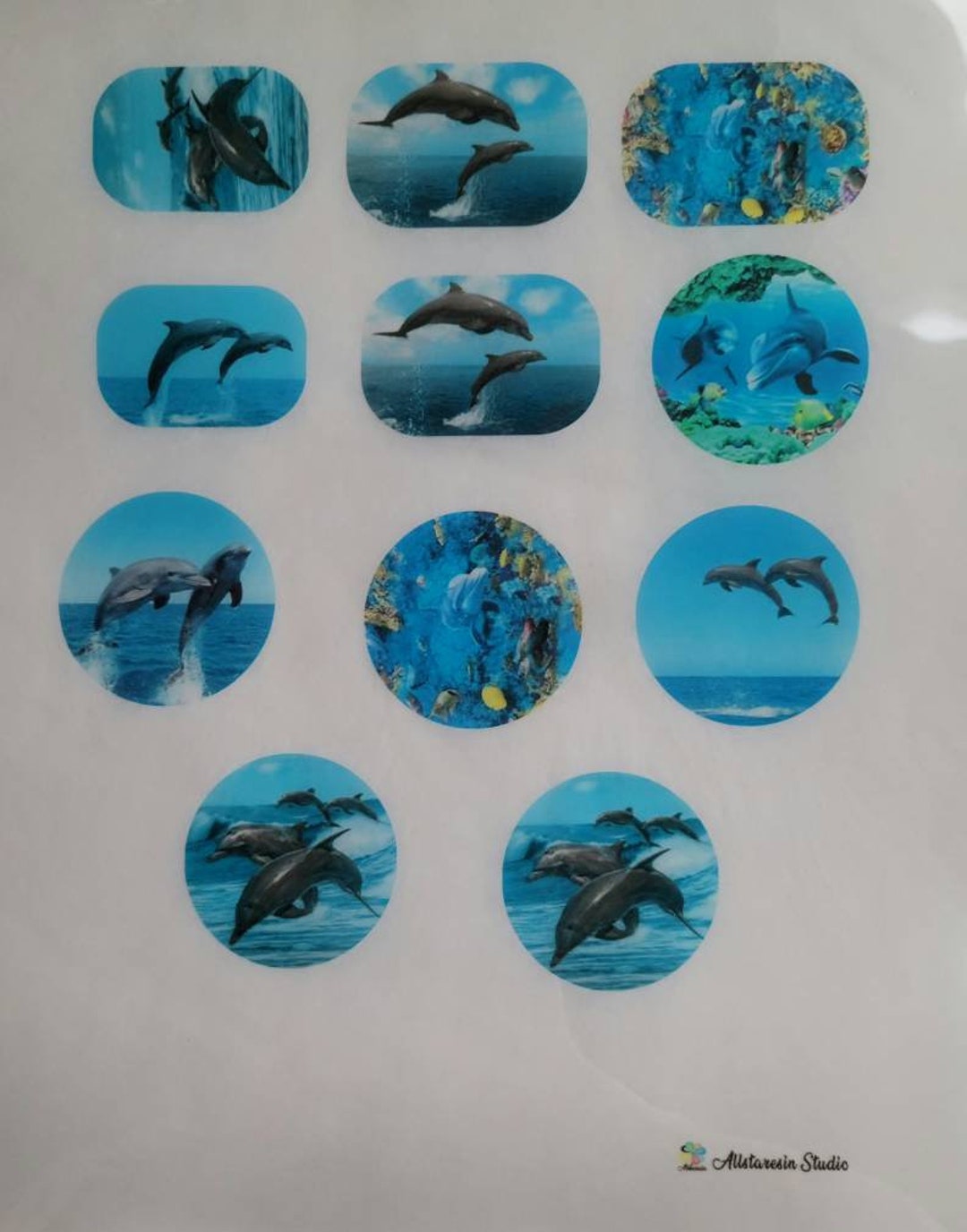 Custom-3d Coaster " Dolphins" Clear Transparent Film, UV Resin Art ...