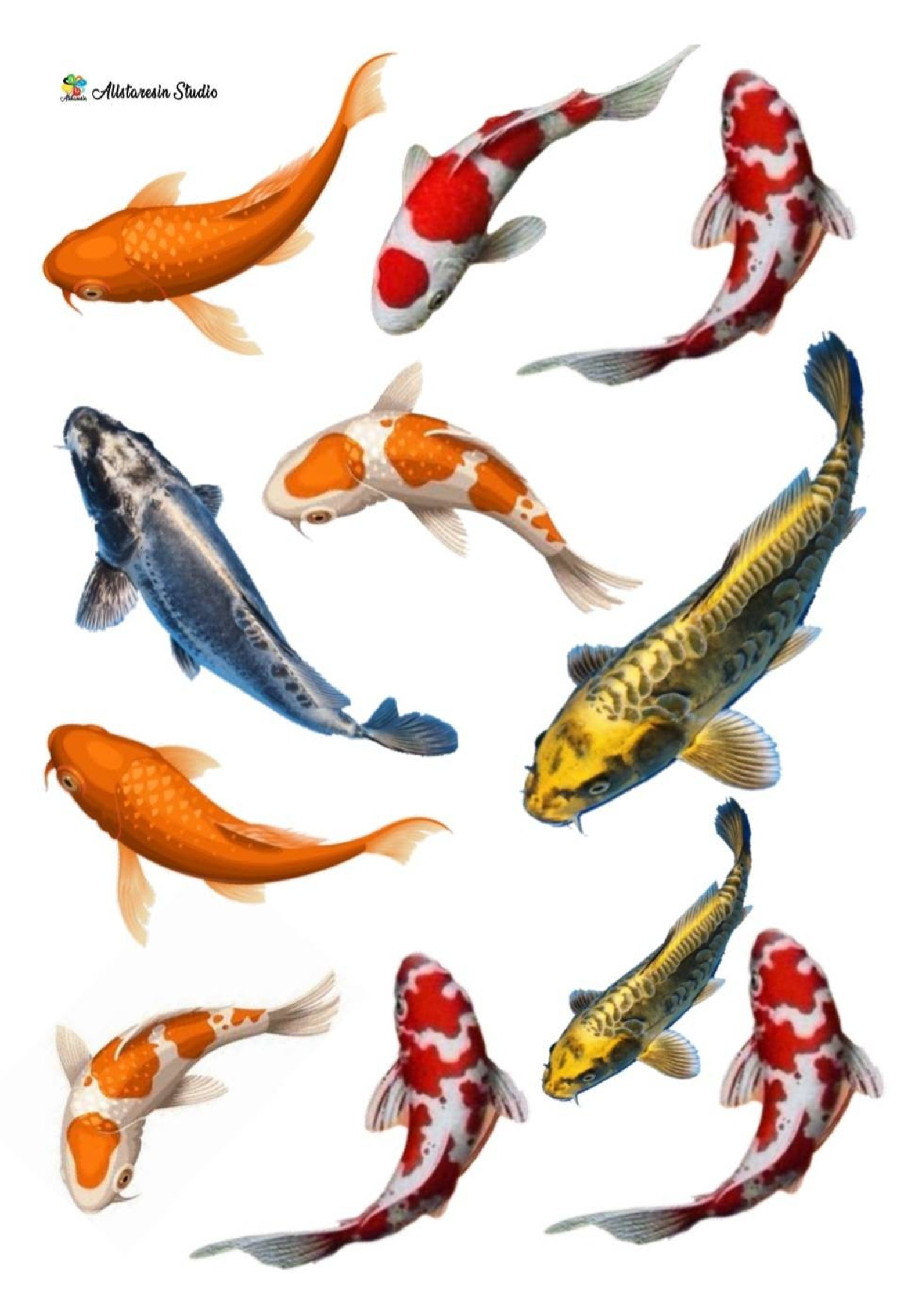 3D Fish (8-10CM) Clear Transparent Film,goldfish and Fishman, Film UV ...