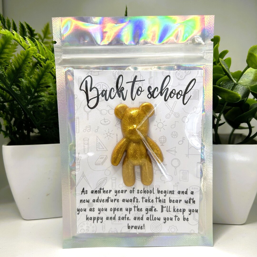 Back to School Bear Hug, Return to School Gift, First Day of School ...