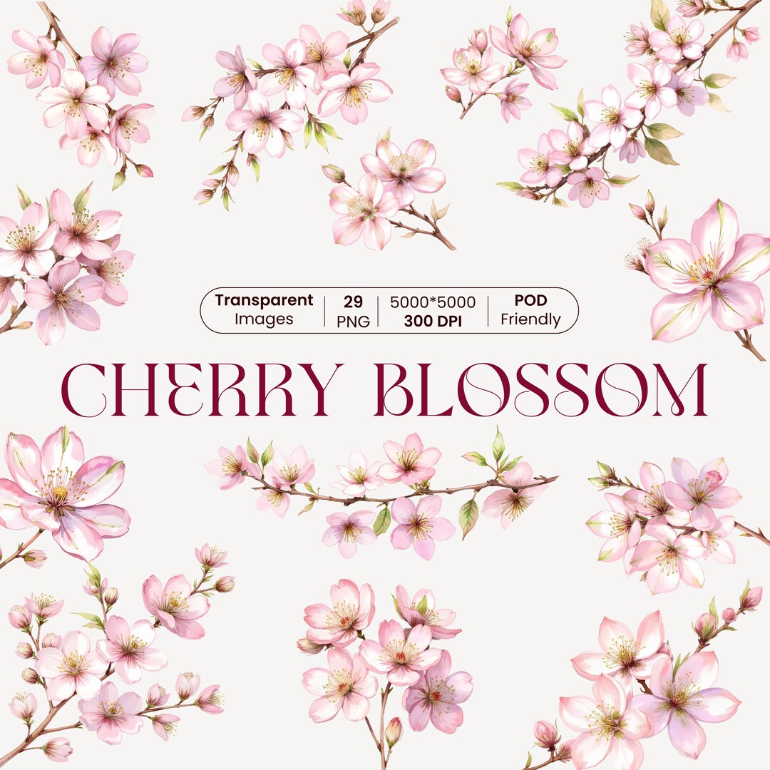 Watercolor Cherry Blossom Clipart: Pink Sakura Flowers, Wedding Floral ...
