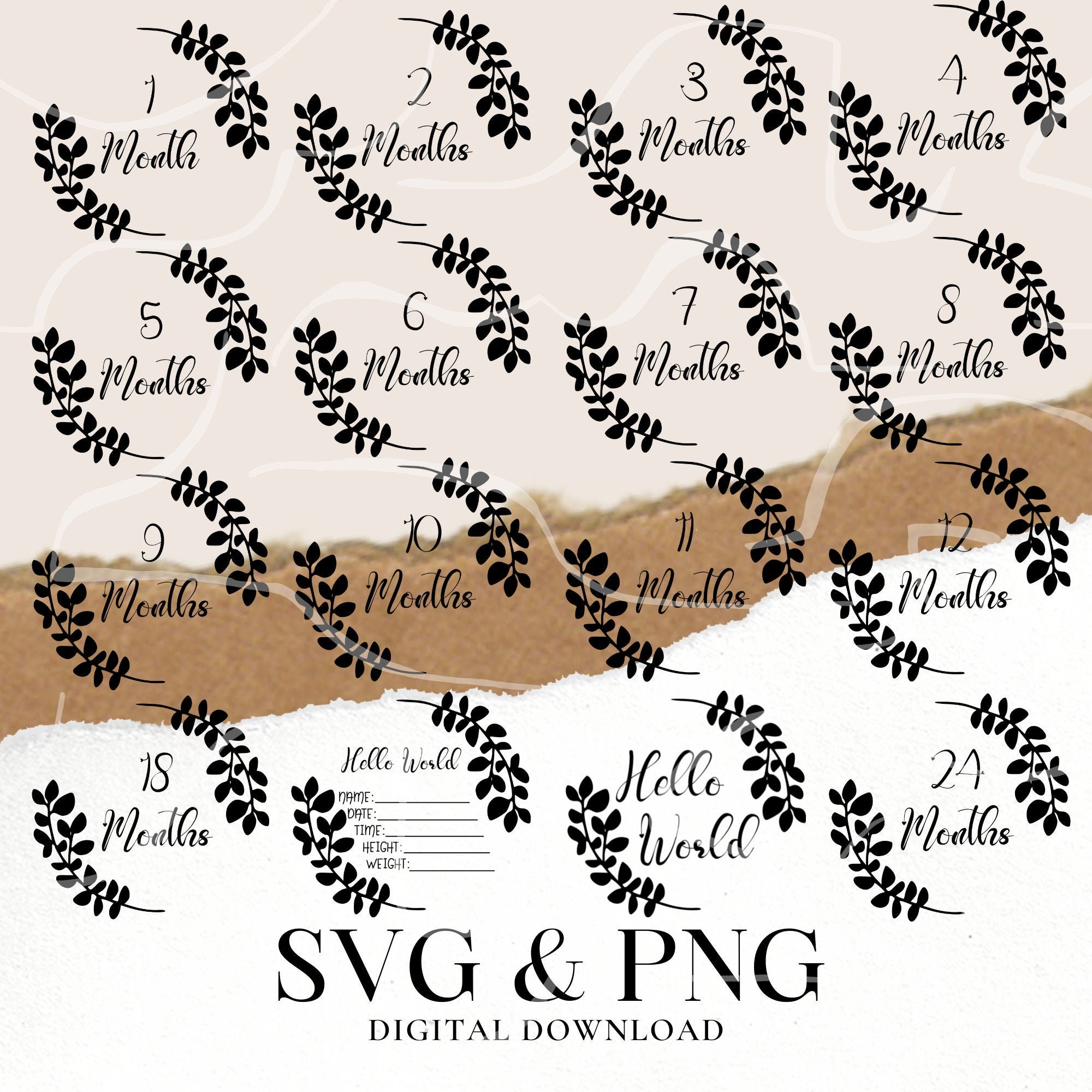 Baby Milestones SVG Bundle From 1 Month to 12 Months 18 Months 24 ...