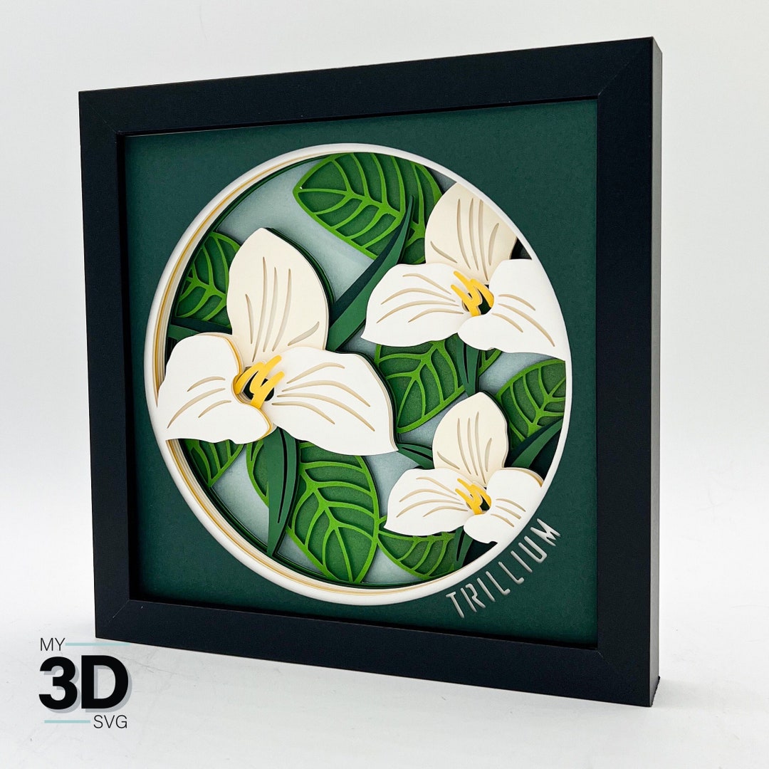 3D TRILLIUM FLOWER Shadow Box Svg - for Cricut - for Silhouette - Etsy