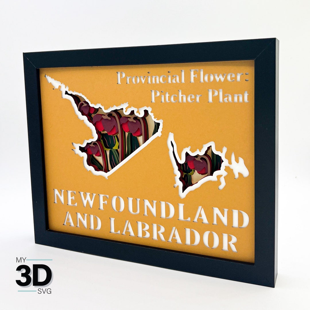3D NEWFOUNDLAND and LABRADOR SVG - Pitcher Plant Svg - Shadow Box Svg ...