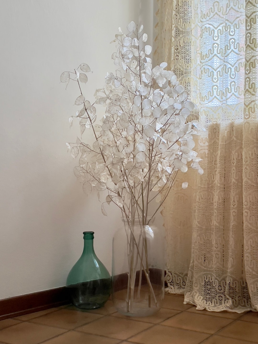 Large Bouquet of Dry Lunaria, Silver Dollar Plant, Money Plant, Fall ...