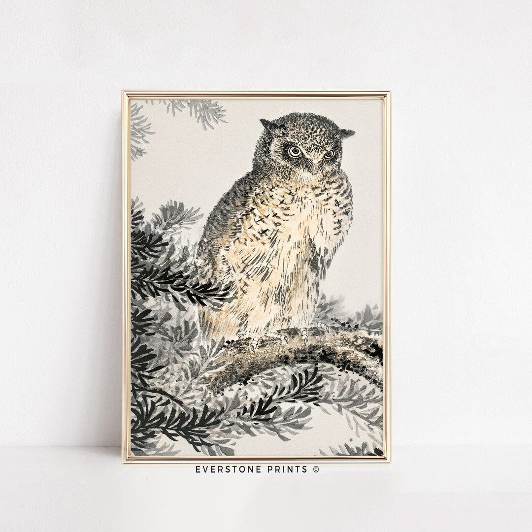Vintage Owl Illustration Antique Print, Owl Art, Vintage Oil Painting ...