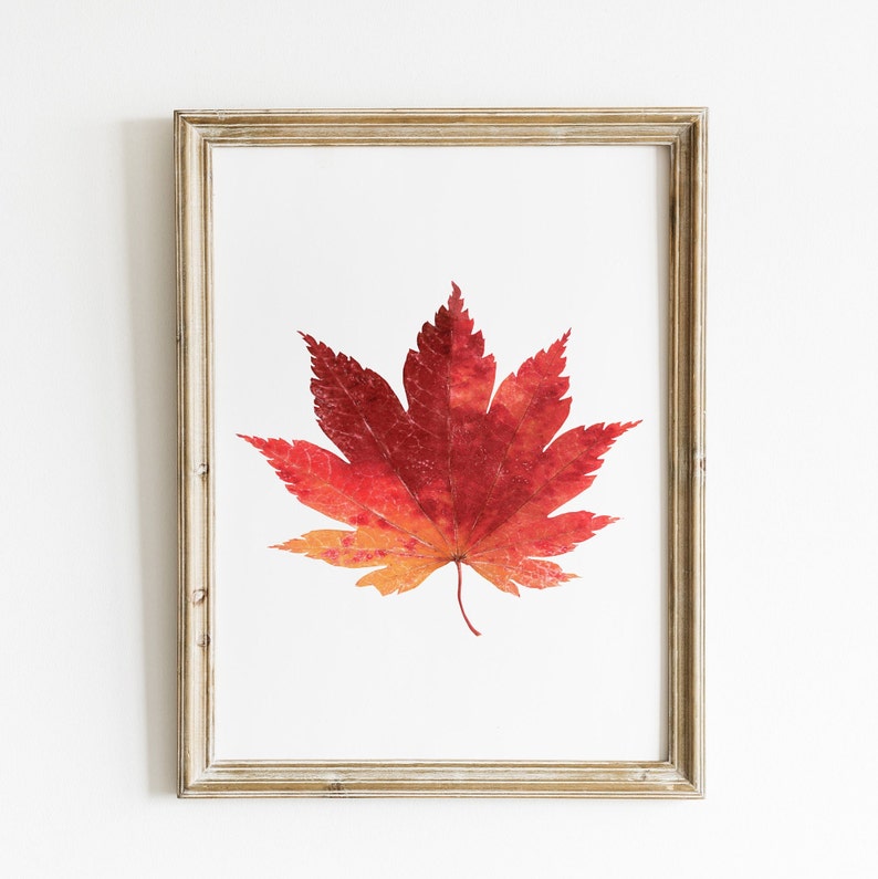 Fall Leaves Set of 3 | Leaves Fall Printable Art, Fall Wall Art, Fall ...