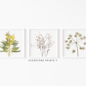 Set of 9 Botanical Prints | Botanical Wall Art, Square Prints, Poster ...