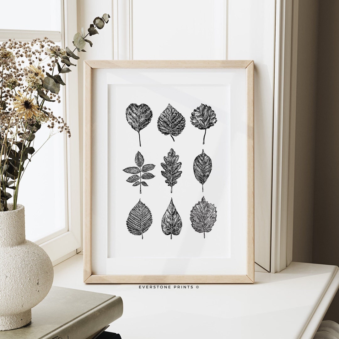 Leaves Sketch Art | Botanical Drawing Art, Autumn Leaves, Fall Decor ...