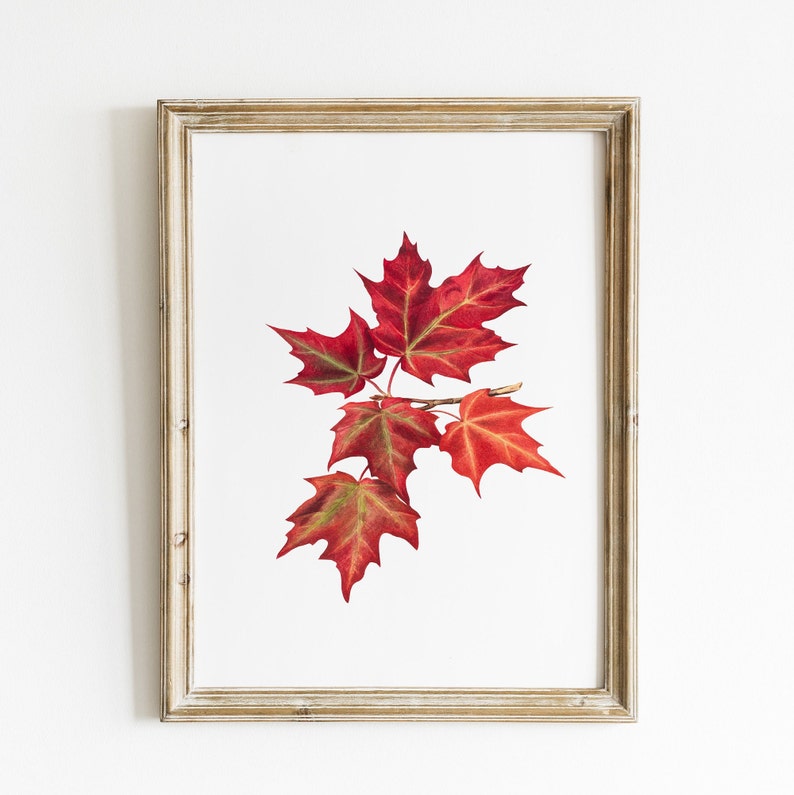 Fall Leaves Set of 3 | Leaves Fall Printable Art, Fall Wall Art, Fall ...