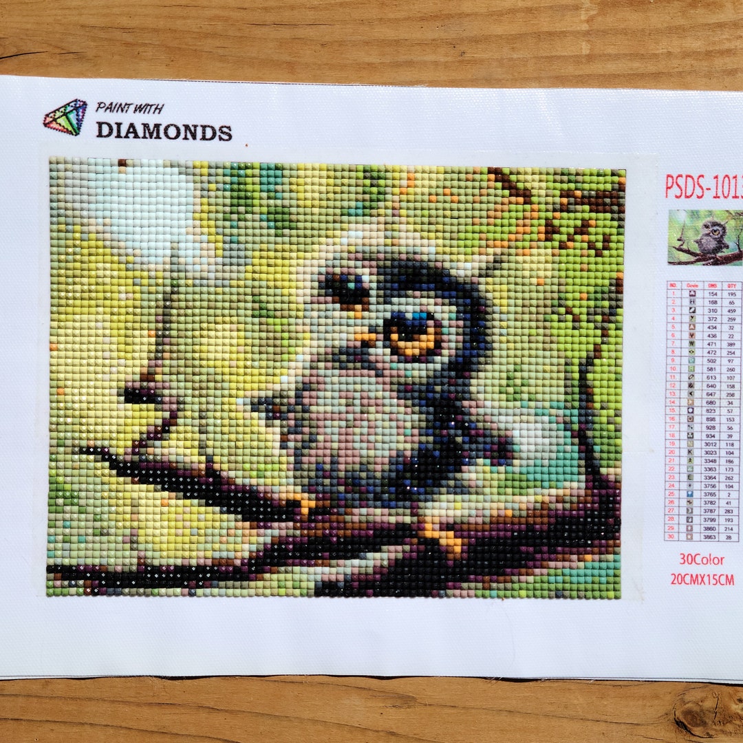 Cute Owl Diamond Painting - Etsy
