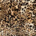 Realistic Leopard Skin Printed Upholstery Fabric by the Yard With ...