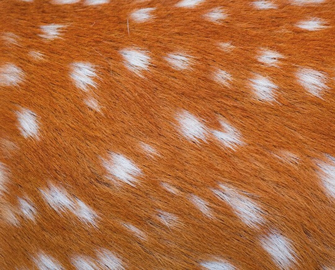 Deer Print Fabric by the Yard - Etsy
