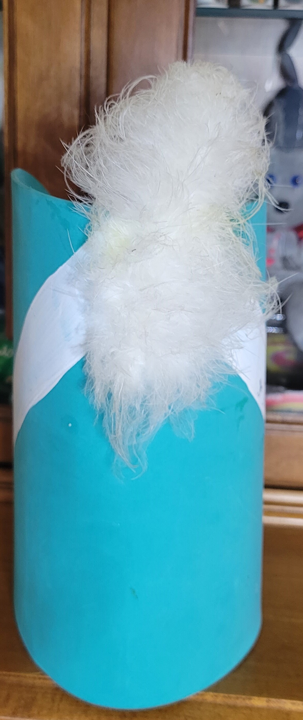 Munchkin Hat Signed by Lewis Croft - the Wizard of Oz MGM 1939 - Etsy