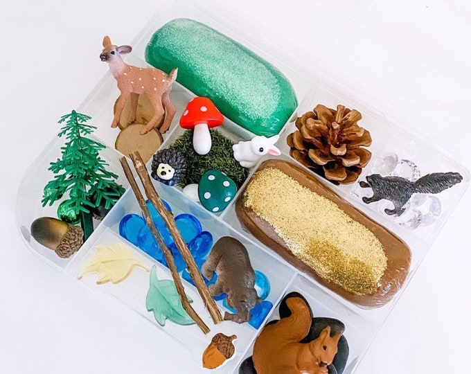 Woodland Animals Sensory Play Dough Kit Forest Animals - Etsy