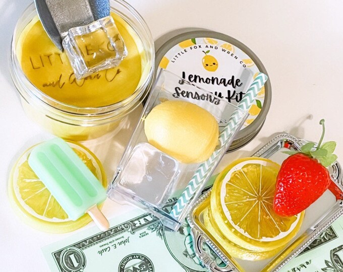 Play Dough Kit, Lemonade Play Dough Kit, Lemonade Sensory Kit, Play ...
