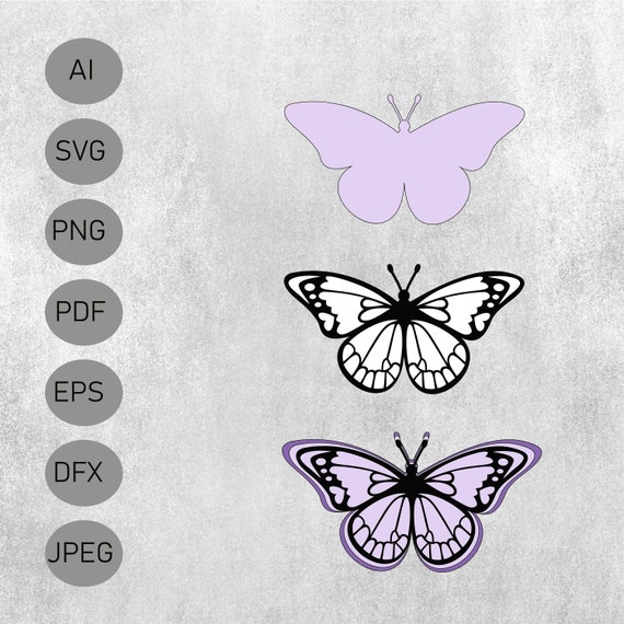 Buttrfly Svg for Cricut Layered 3D Butterfly Template Cute | Etsy