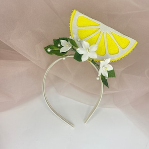 Lime Slice Headband: Tropical Party Costume Headpiece - Etsy