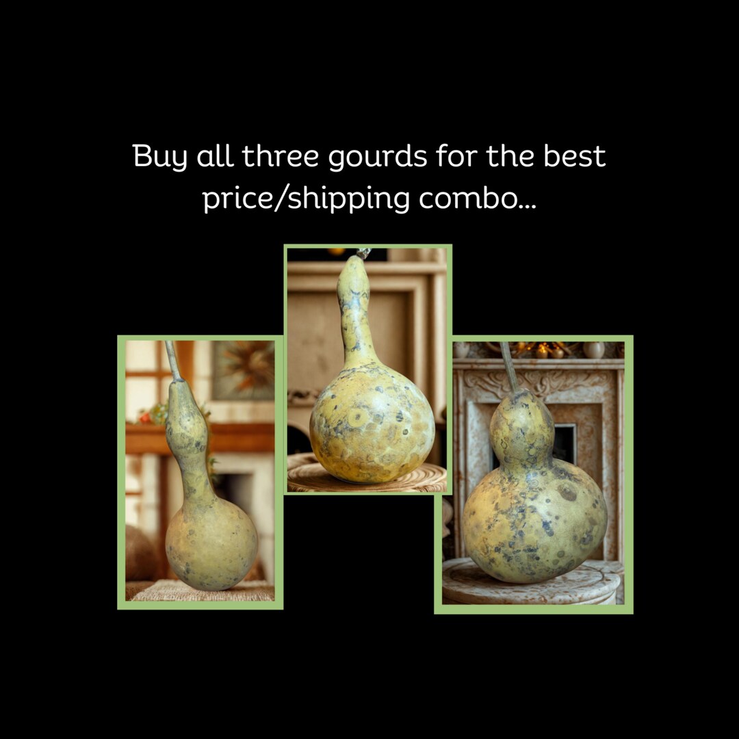 Unique Birdhouse Gourds, Homegrown, All-natural, Dried and Cleaned ...