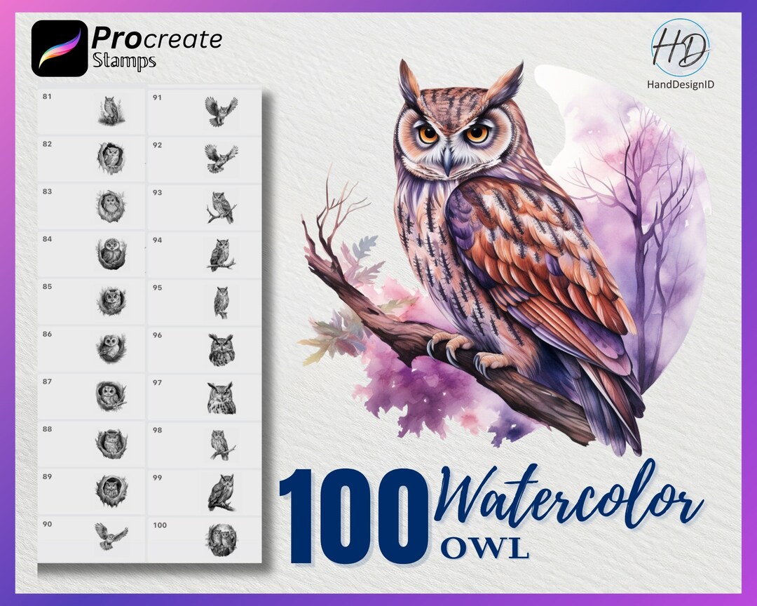 100 Watercolor Owl Procreate Stamps: Digital Art Brushes (PDF Files) - Etsy