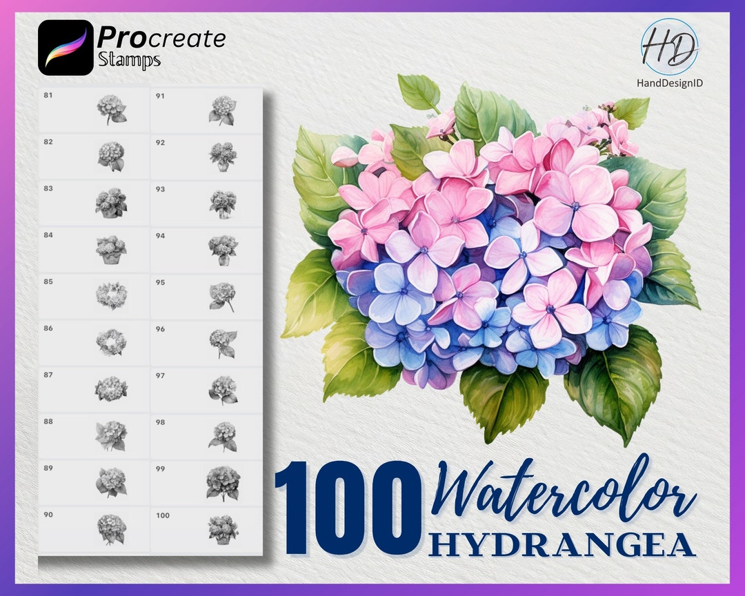 100 Watercolor Hydrangea Procreate Stamps: Flower Brush Set (digital Download) - Etsy