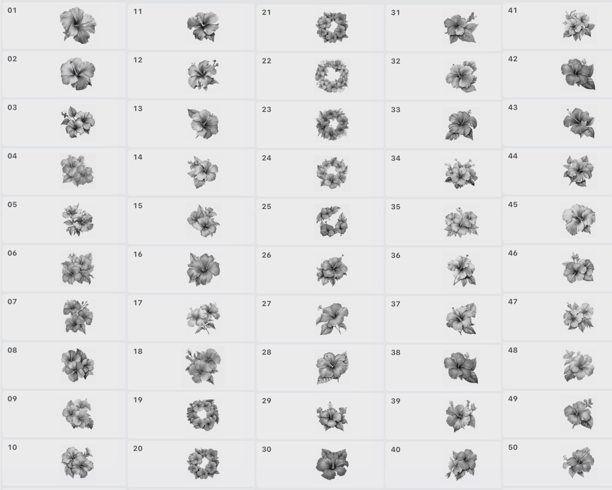 100 Procreate Watercolor Hibiscus Stamps, Hibiscus Flower Stamps for ...