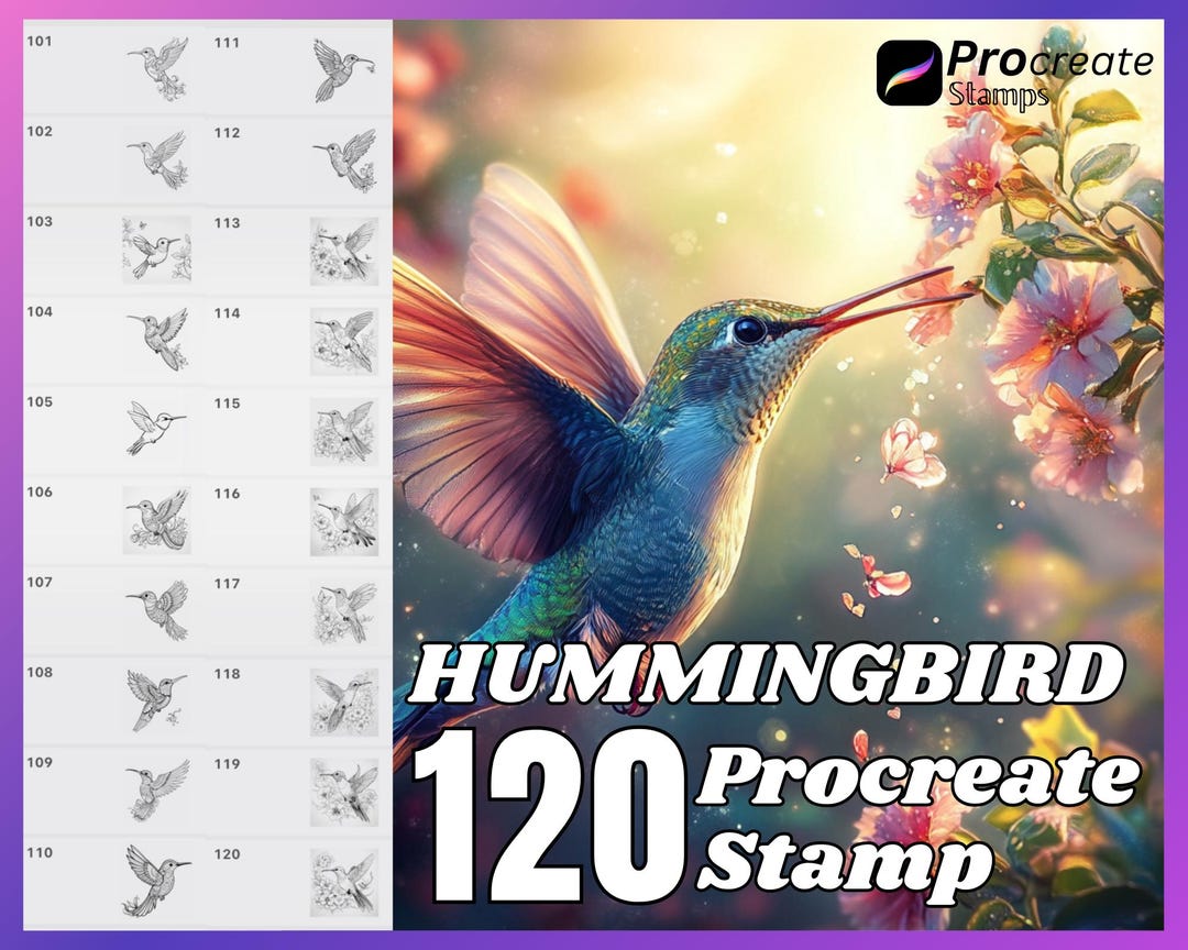 120 Procreate Hummingbird Stamps, Hummingbird Brush for Procreate ...