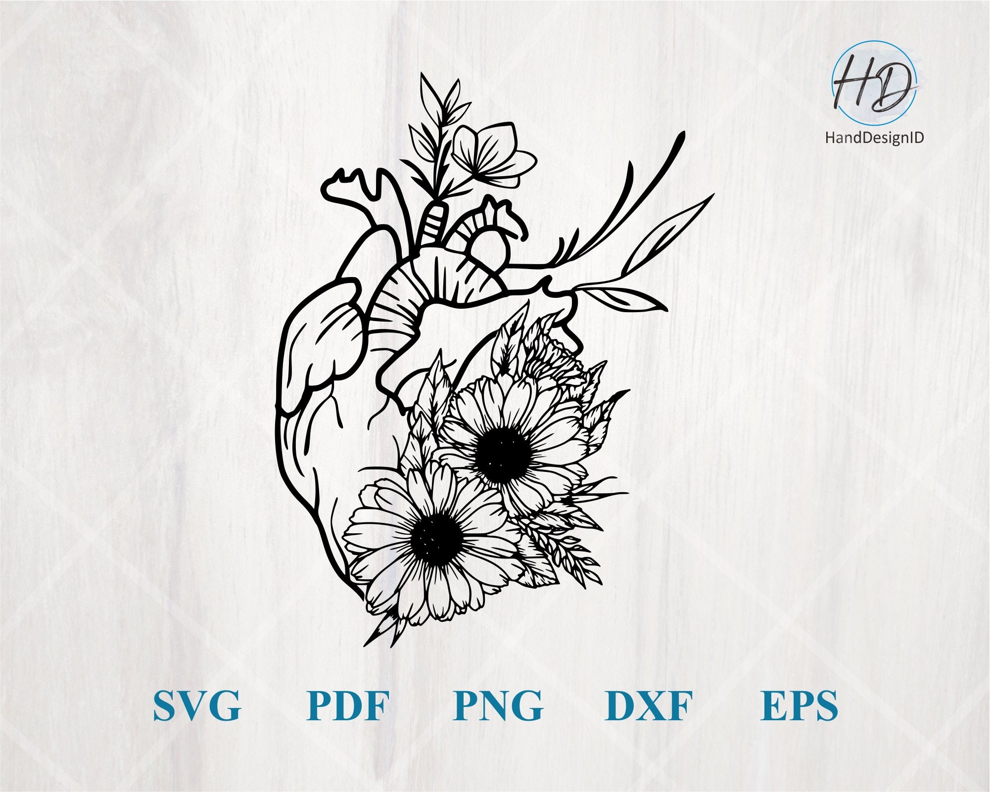 Anatomía del corazón svg Anatomía svg Corazón floral Svg - Etsy México
