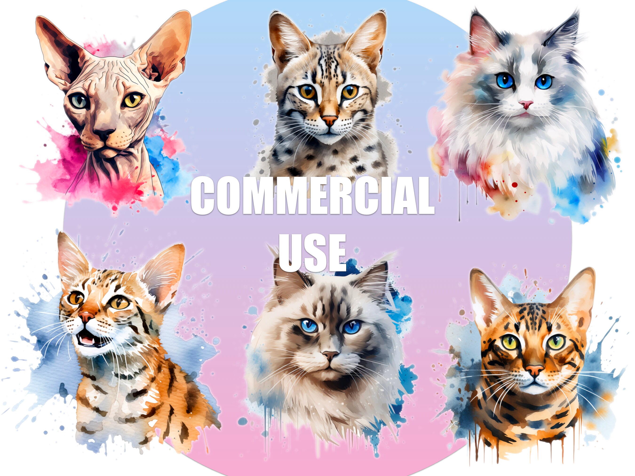 Cat Clipart Watercolour Clipart Cute Cats Digital Art - Etsy