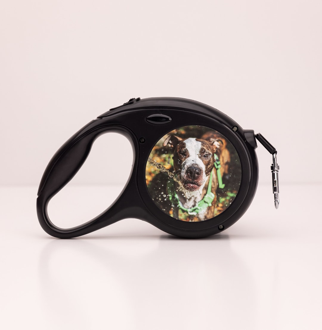 Retractable Dog Leash, Personalized Dog Leash, Comes With Name and ...