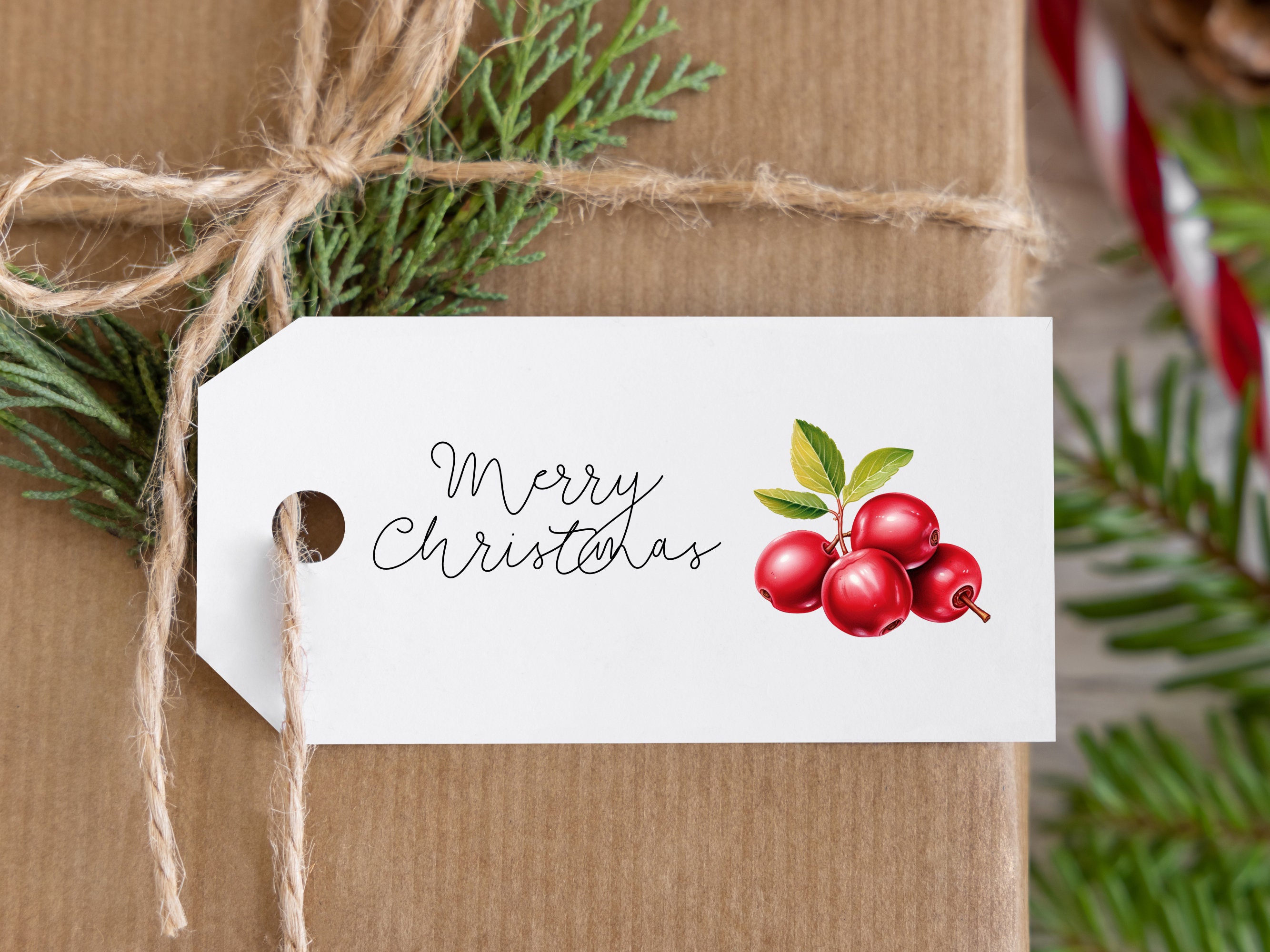 Cranberries Fruit Clipart Set Festive Holiday Printable - Etsy
